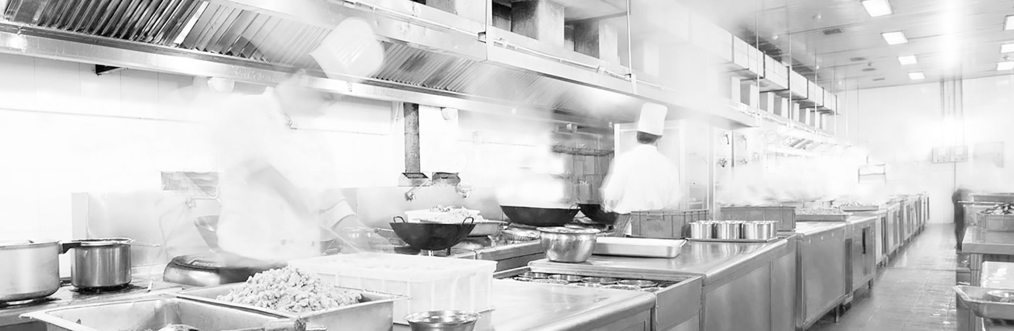 CART WASHERS | RACK WASHERS | ROTARY DRUM WASHERS | WASHERS